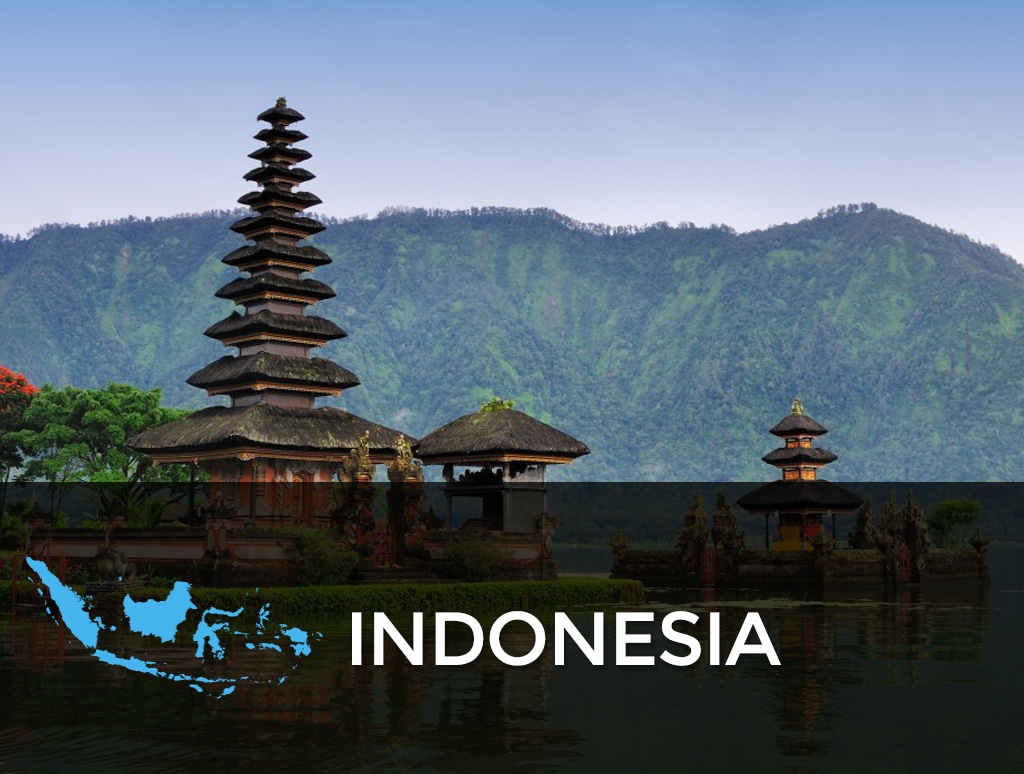 Indonesian Green Coffee Beans | Bold, Earthy Flavor Profiles