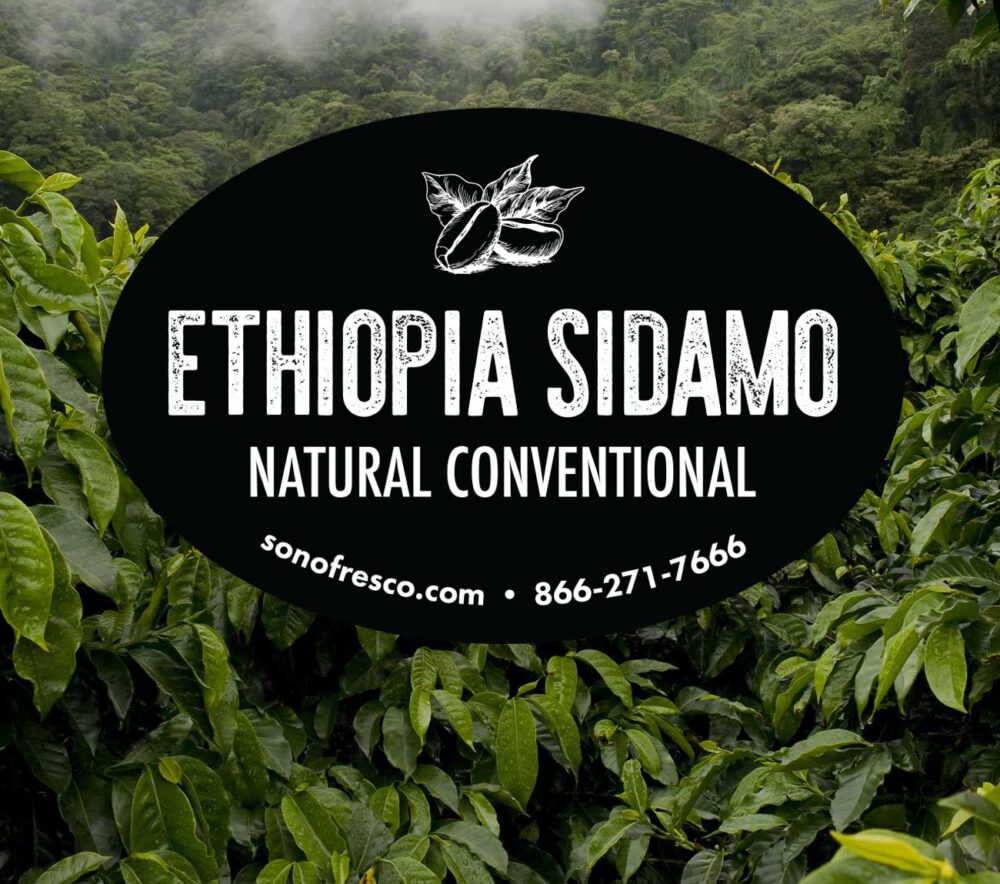 Ethiopia Sidamo Green Coffee Beans | Natural & Unroasted